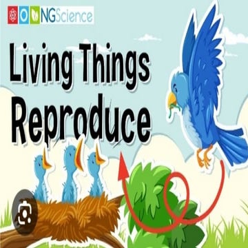 Presentation (5) (1) power point presentation on living things | PPTX