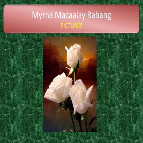 Myrna Presentation | PPTX