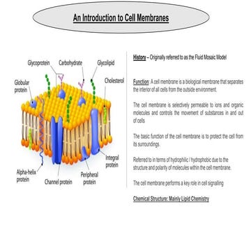 Cell Membranes and Lipids | PPT