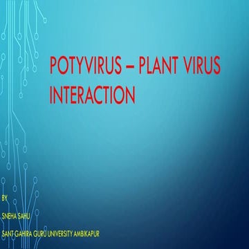 Potyvirus - plant virus interaction | PDF