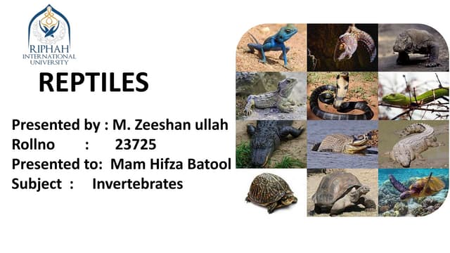 Classification of reptilia | PPT