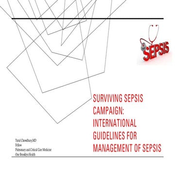 A Review of Surviving Sepsis Campaign: International Guidelines for ...