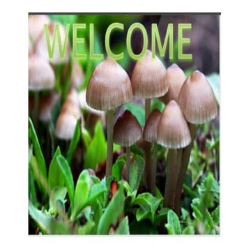 Presentation (7)-2.pptx | Gardening | Home & Garden