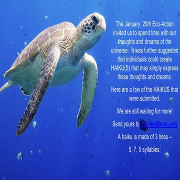 SHCJ HAIKU COLLECTION | PPTX