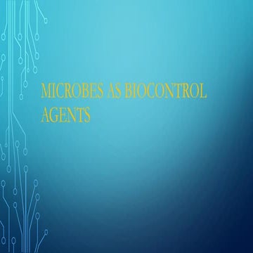 Presentation (7).pdf microbes as biocontrol agents | PDF