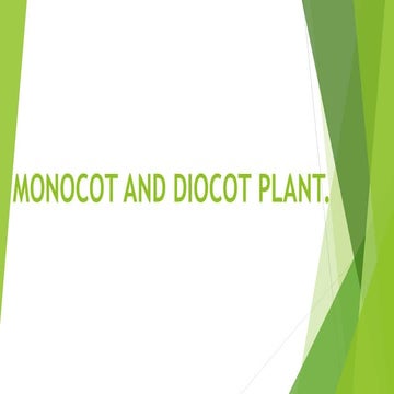 Monocots and dicots | PPT