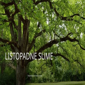 Listopadne sume ( biologija za 7 razred ) | PPT