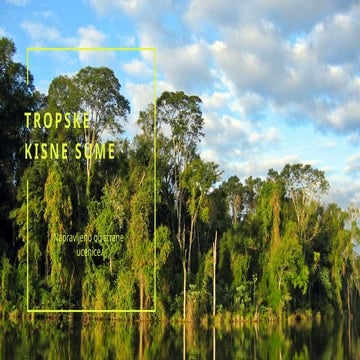 Tropske kisne sume (karakteristike,zivotinje,biljke,Amazonija) | PPTX