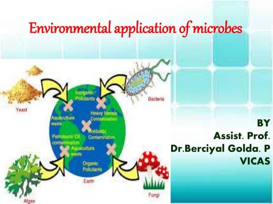 Lesson 5-Introduction-to-Microbial-Ecosystems.pptx
