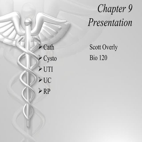 Presentation9 | PPT