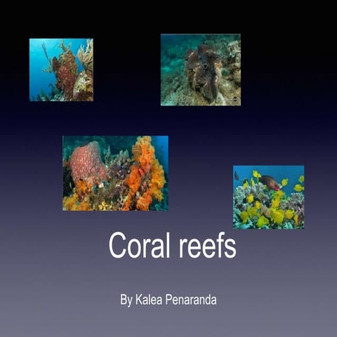 Coral Reefs by Kalea | PPT