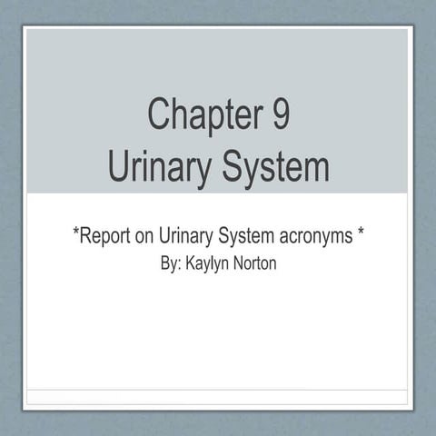 Presentation 9 urinary system | PPTX