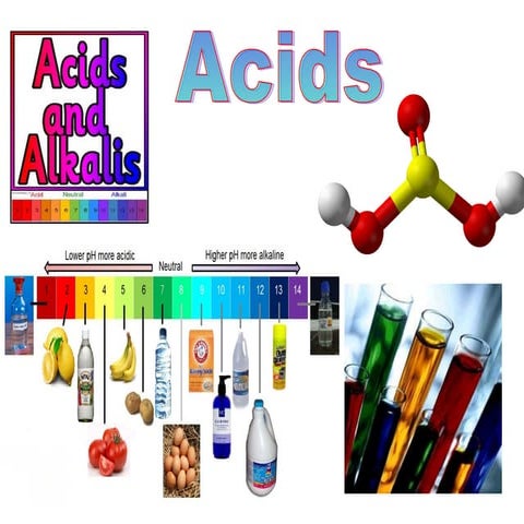 Presentation Acids | PPT | Chemistry | Science