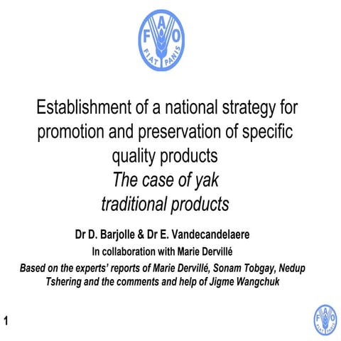 Presentation of the proposal for the national strategy (english) | PPT