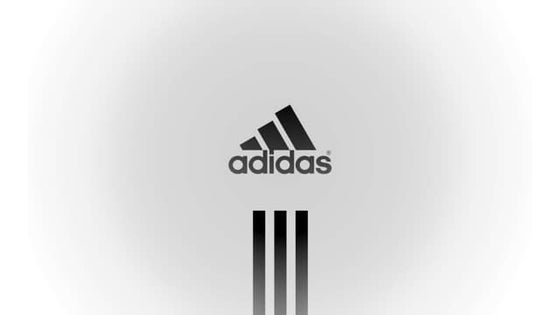 adidas Group- Management, Organizational Structure and CSR Analysis | PDF