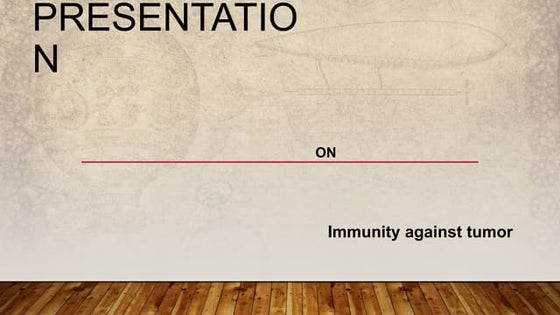 AMMAR Chinese Extenshi Presentation.pptx