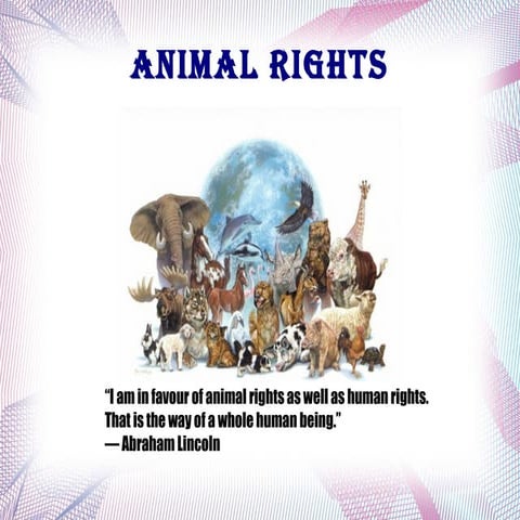 Presentation animal rights ENGLISH | ODP