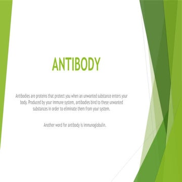 Presentation antibody.pptx free to use for students | PPTX
