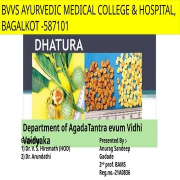 PresentationAT DHATURA.pptx 2nd year BAMS | PPTX