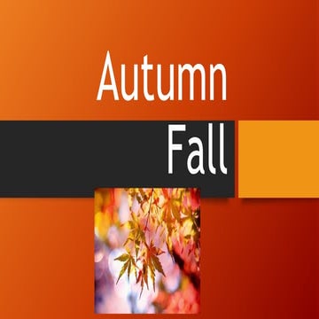Presentation autumn | PPT