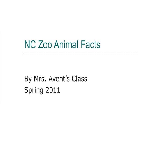 Zoo Animals | PPTX