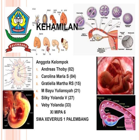 Presentation biologi Kehamilan | PPTX