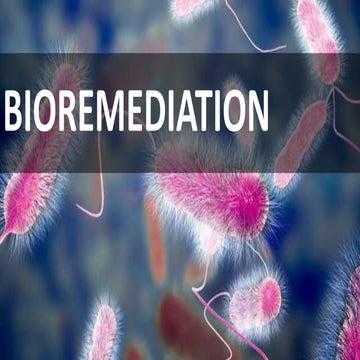 Ppt Presentation BIOREMEDIATION by using microorganisms-1.pptx