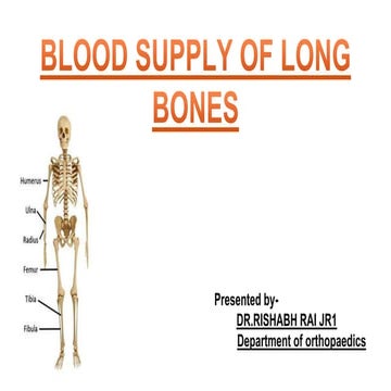 Presentation blood supply on bone. .pptx