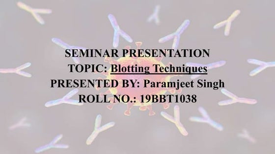 Western Blotting Technique | PPTX | Chemistry | Science