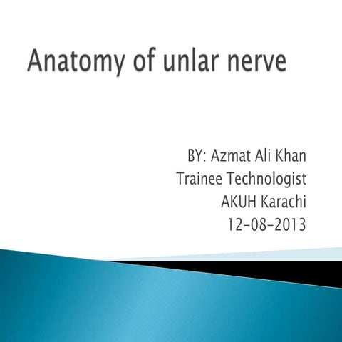 Presentation By Azmat Ali Ulnar Nerve Anatomy 2 Pptx