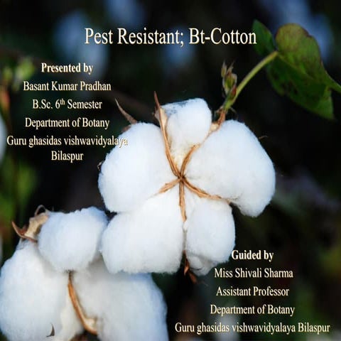 Bt-Cotton & Pest Resistant Bt-Toxin | PDF