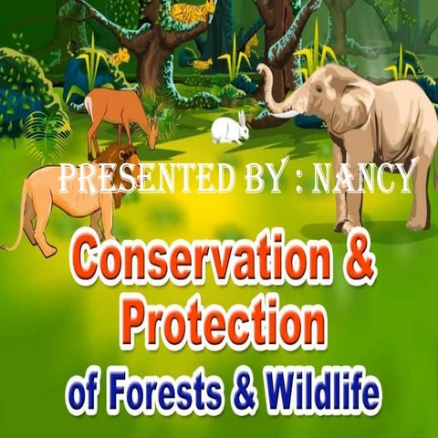 Presentation on nature and wildlife conservation | PPTX