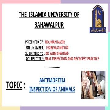 Meat inspection and necropsy lesions in animals | PPTX