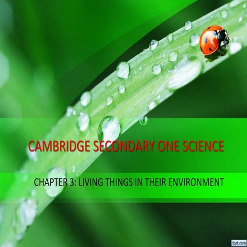 presentation_camsclivingthings_1468230838_1175.pptx