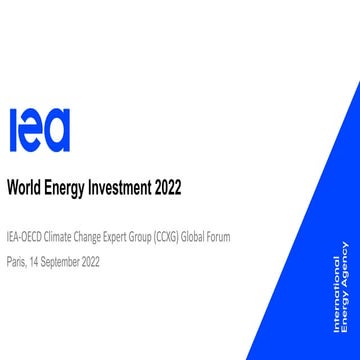 IEA 2025 Report: World Energy Investment 2025 | PDF