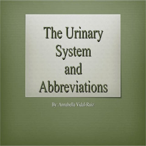 5 Abbreviations Regarding Urinary System | PPTX
