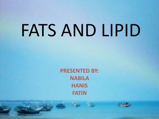 Reflex roofing | PDF