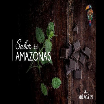 Mo Aca In Amazonia Chocolates | PPTX