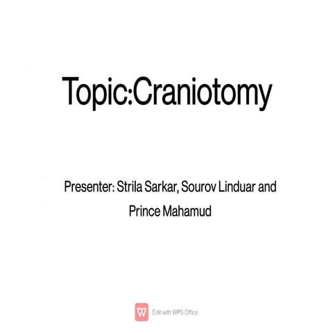 Presentation craniotomy OG-WPS Office.pdf