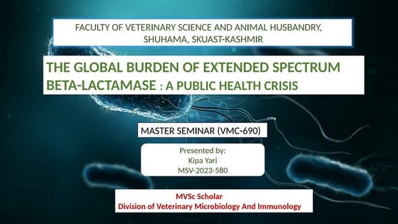 Proteus spp lecture | PPTX