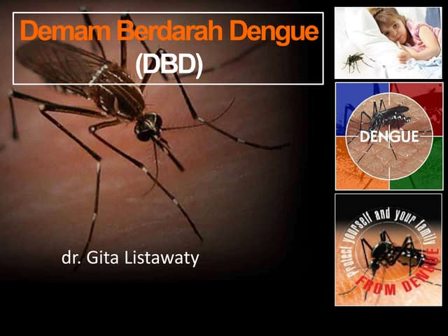 MATERI PENYULUHAN DEMAM BERDARAH | PPTX