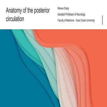 Posterior circulation anatomy for dd.pptx