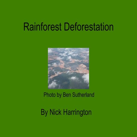 rainforest deforestation | PPT