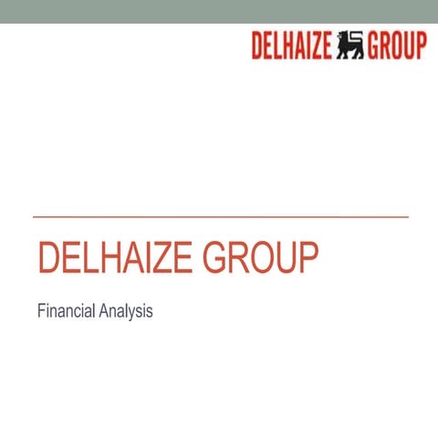 Delhaize Group Presentation | PPTX