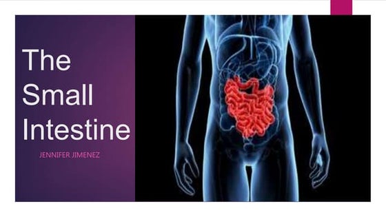 SMALL INTESTINE AND LARGE INTESTINE | PPT