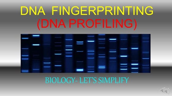 DNA FINGERPRINTIN Class XII Biology.pptx | Genetics | Science