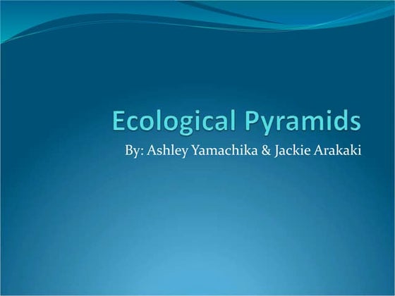Ecological pyramids ppt | PPTX | Biological Sciences | Science