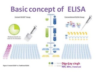 Schematic Presentation Of Basic Types Of Elisa Enzyme