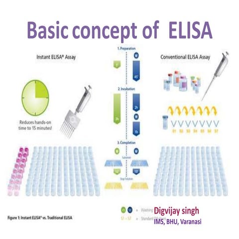 Presentation elisa ppt | PPT
