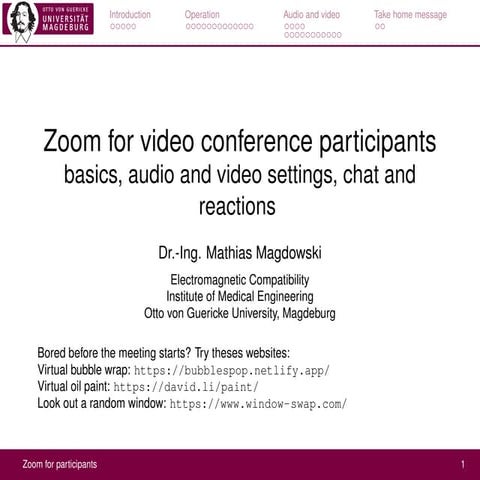 Zoom for video conference participants - basics, audio and video ...